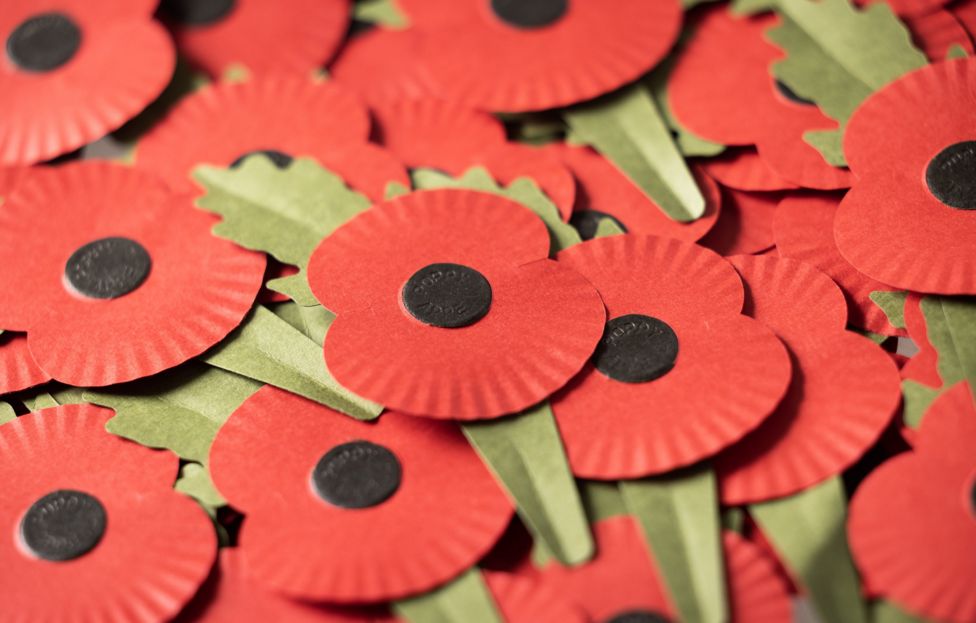 Remembrance Day poppy to go plastic free - BBC Newsround