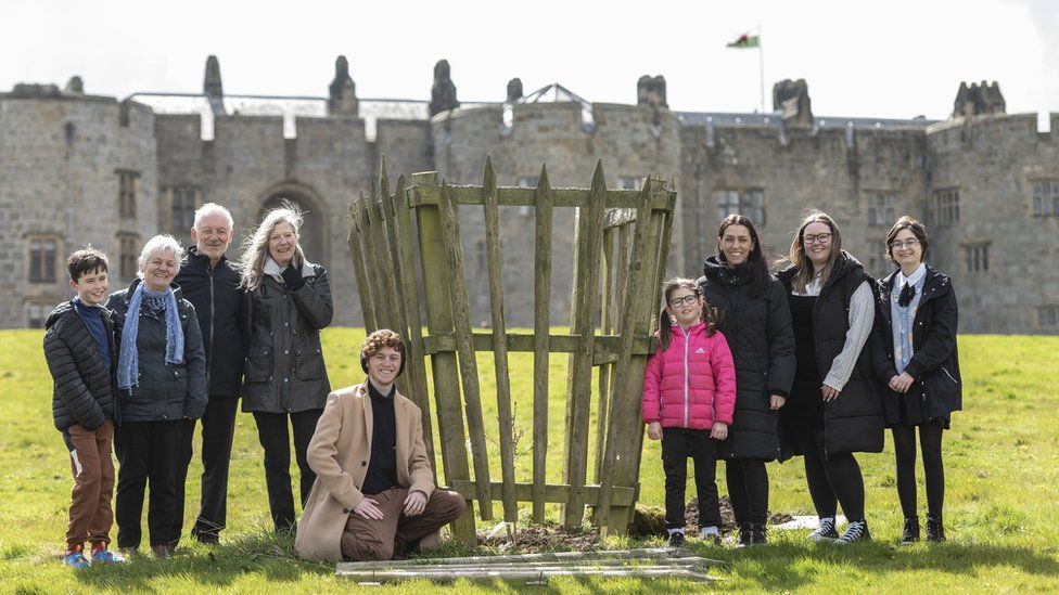Hanes derwen Pontfadog a'n coed hynafol eraill - BBC Cymru Fyw