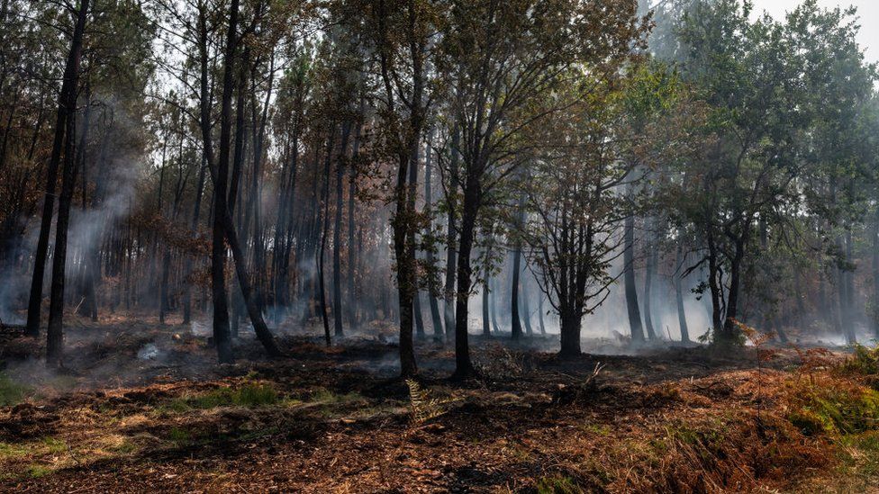 France Wildfires: EU countries send firefighters to France to help ...