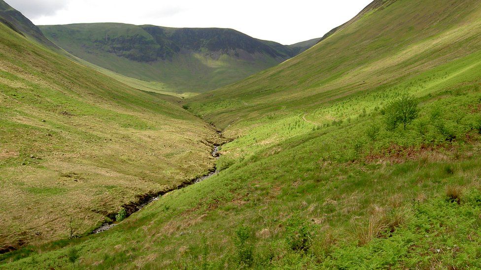 How tree planters turned a bare valley into a wooded glen - BBC News