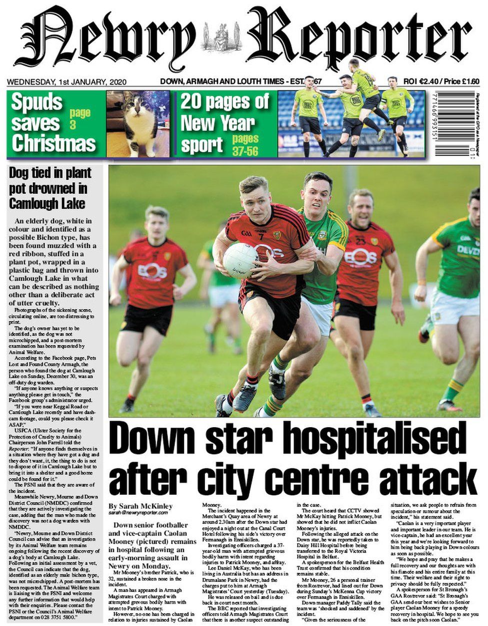 NI weekly papers: 2020 vision and the cat who saved Christmas - BBC News