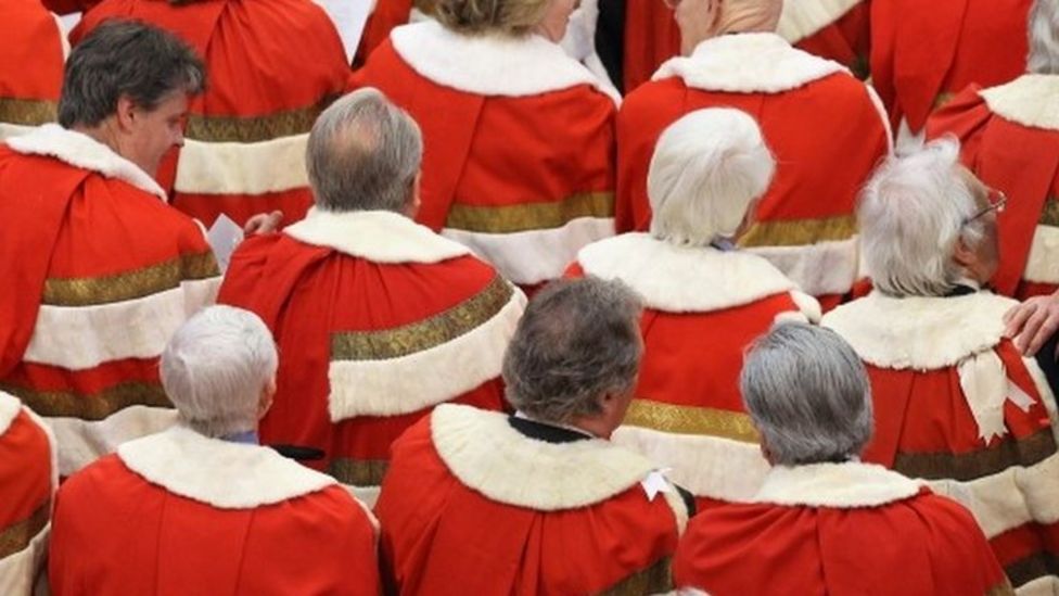 Plans to cut number of Lords 'are very limited' - BBC News