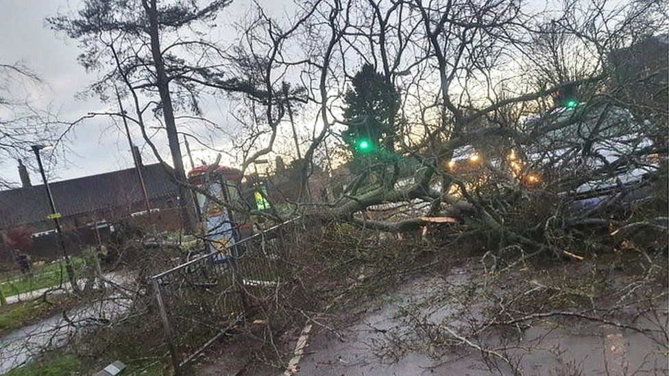 Storm Dudley: Tree falls on to car with three men inside and rail lines ...