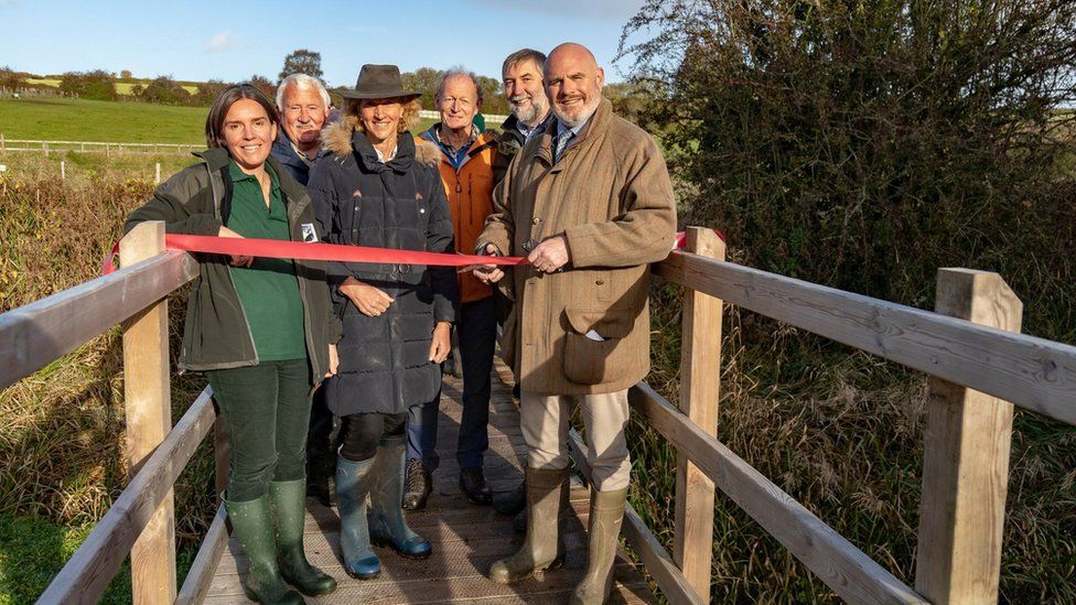 Marlborough Bay Meadow nature reserve opens to public - BBC News