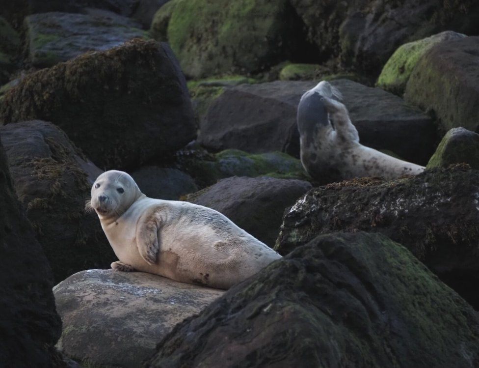England's Big Picture: 26 July - 1 August - BBC News