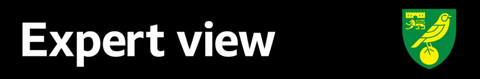 Che Wilson's verdict on Norwich City's draw in the FA Cup - BBC Sport