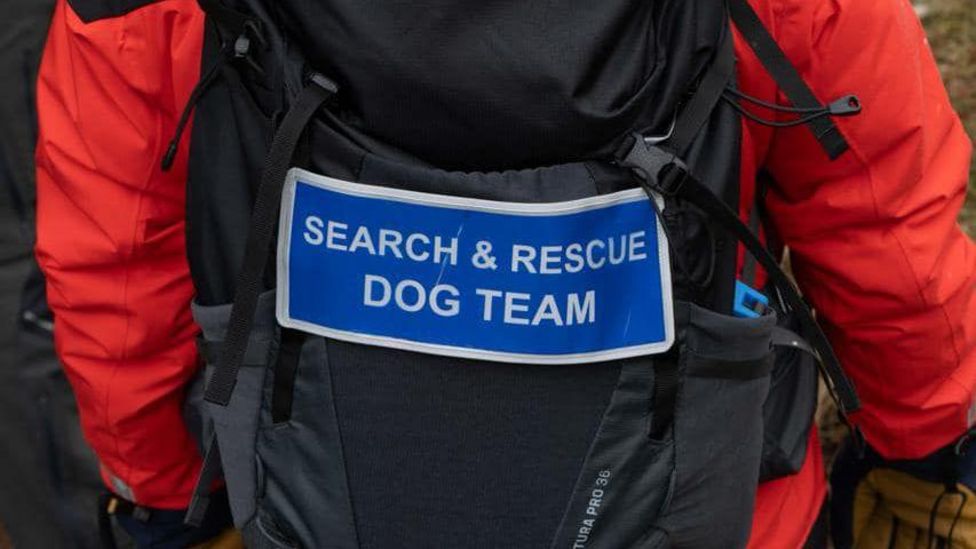 Grant to boost charity's life-saving search and rescue capability - BBC ...