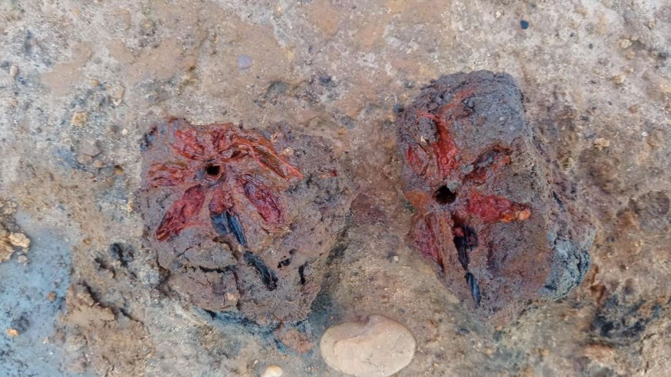 Archaeologists discover Roman 'ritual centre' at Overstone housing site ...