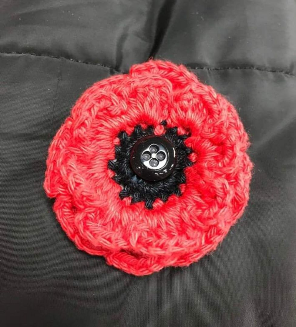 Thousands of knitted poppies in Macduff Remembrance display - BBC News