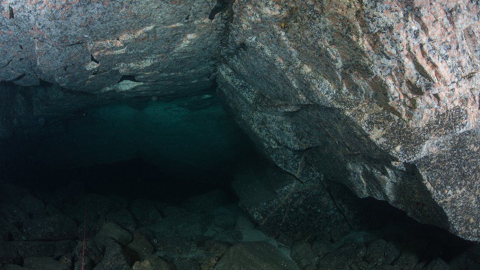 Colourful cave life in St Kilda and North Rona - BBC News