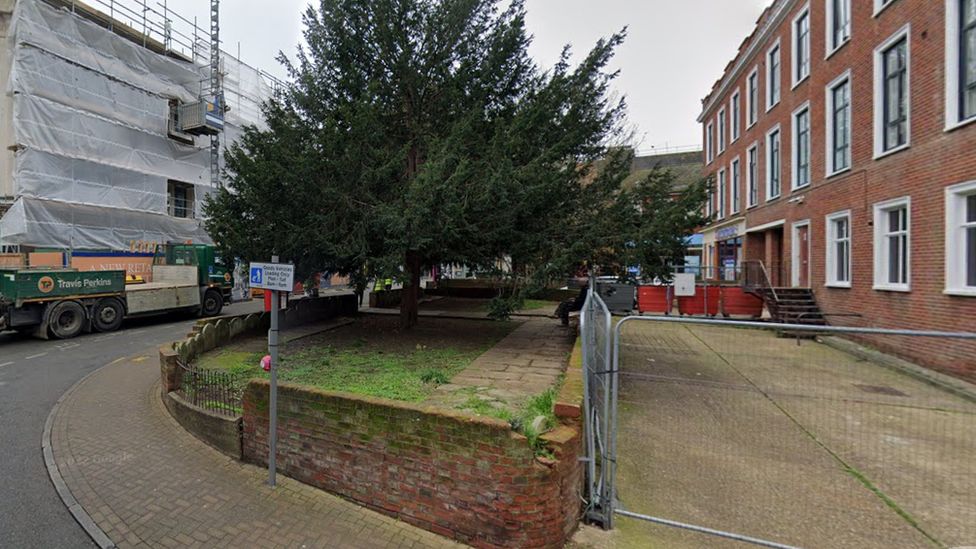Tree planting revamp for St Nicholas Square in Colchester - BBC News