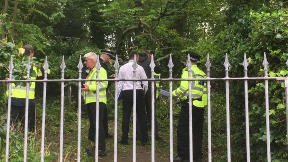 Boy hit by falling branch near Ysgol Bryn Elian, Old Colwyn - BBC News