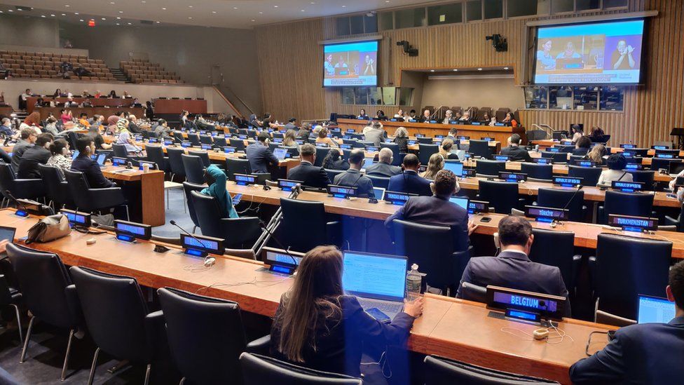 Devon Down's syndrome campaigner speaks at UN conference - BBC News
