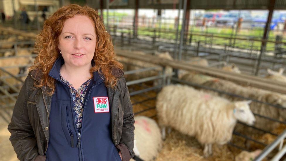 Farming Wales: Parties make general election pitch to protestors - BBC News