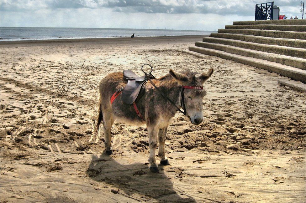 Your pictures: Sand - BBC News