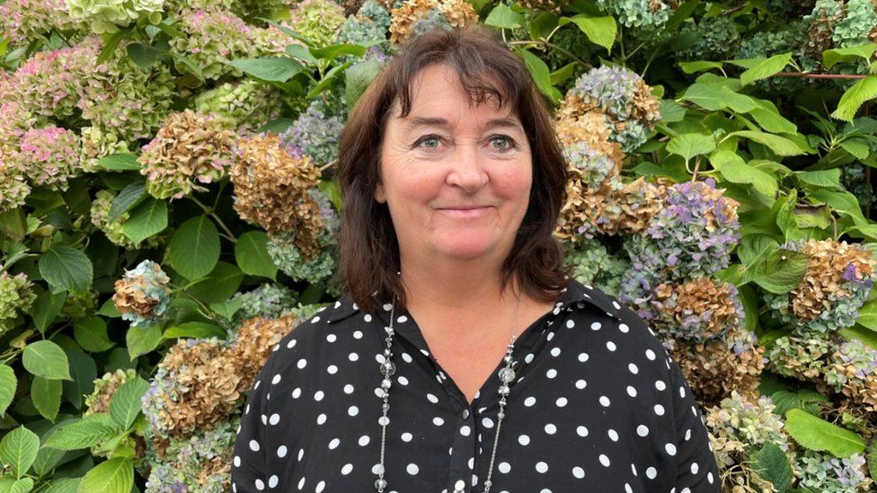 Cymeradwyo codi tai ym mhentref Pwylaidd Penrhos - BBC Cymru Fyw