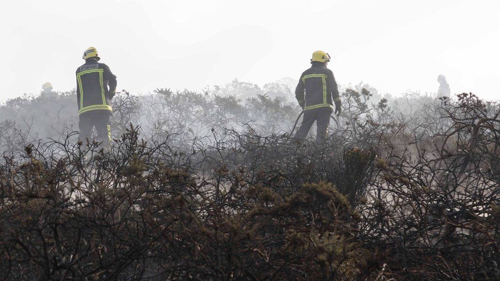 Sark fire caused by disposable barbecue says fire chief - BBC News
