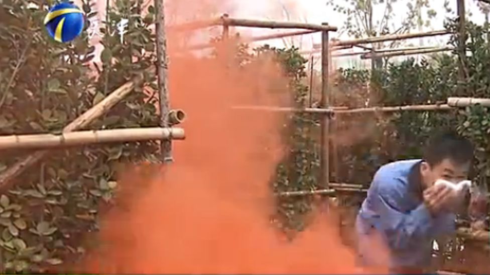 China: Fire safety theme park attracts visitors - BBC News