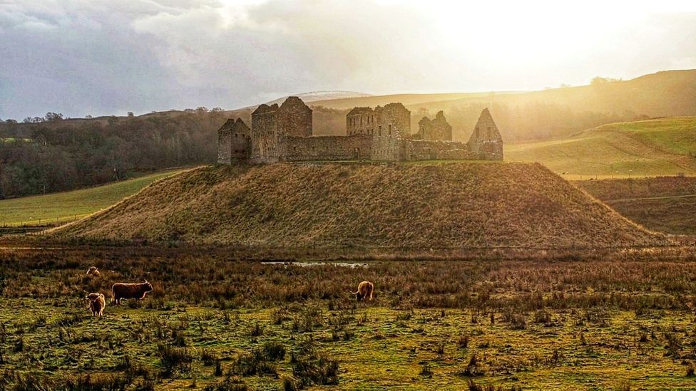 Your pictures of Scotland: 15 - 22 November - BBC News