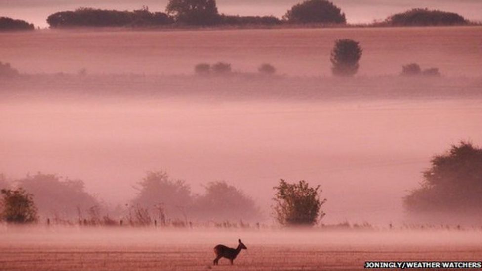 Autumn morning mists - BBC Weather