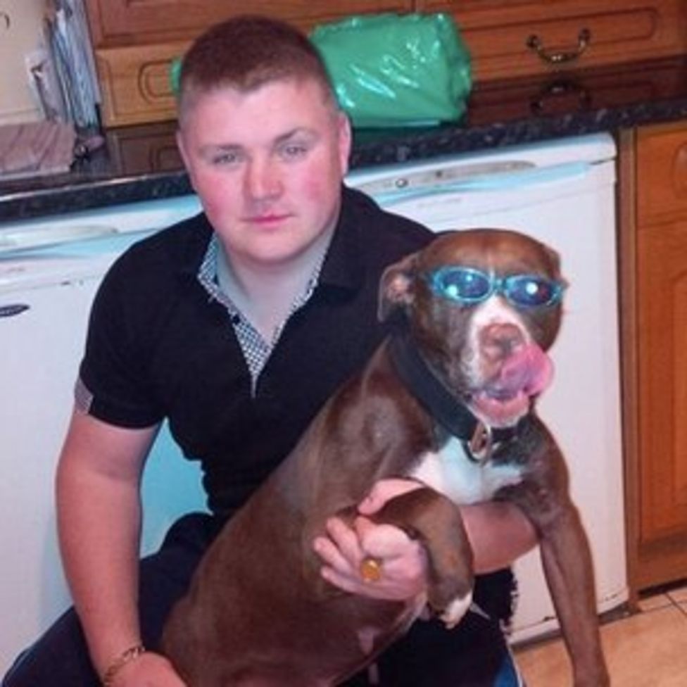 Inside the illegal world of organised dogfighting - BBC News