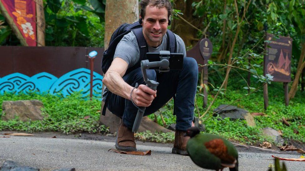 Eden Project: The lessons taught from a rainforest - BBC Newsround