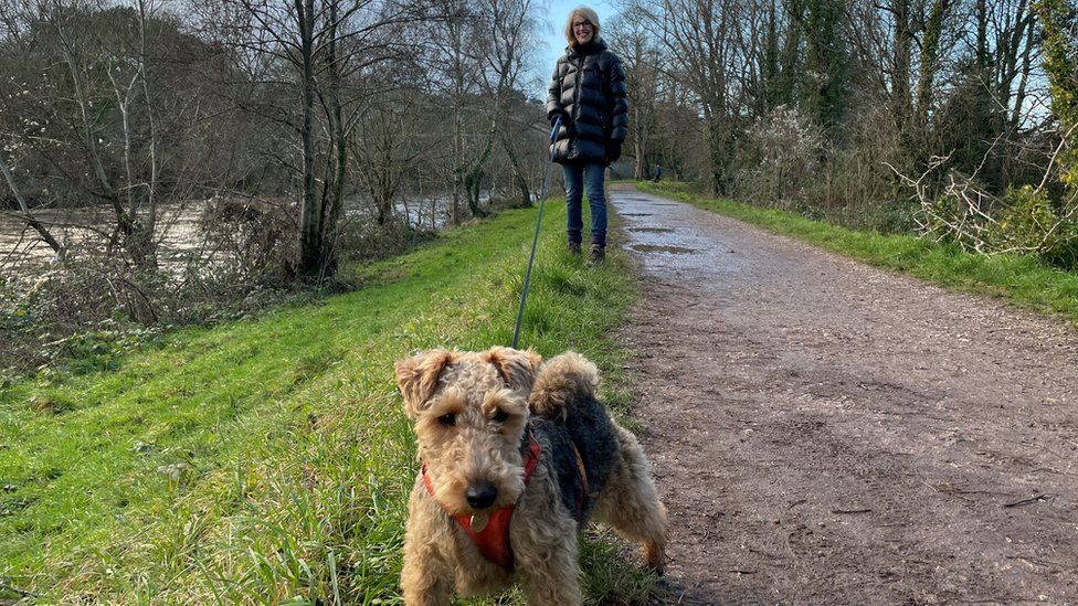 Lle i enaid gael llonydd: Bethan Rhys Roberts - BBC Cymru Fyw