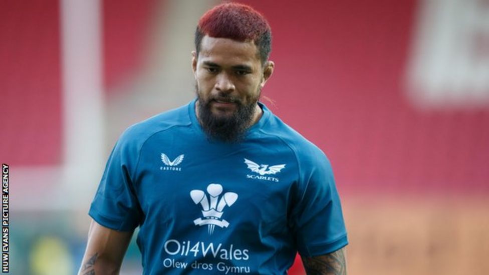 Vaea Fifita: Scarlets forward handed initial four-week ban - BBC Sport