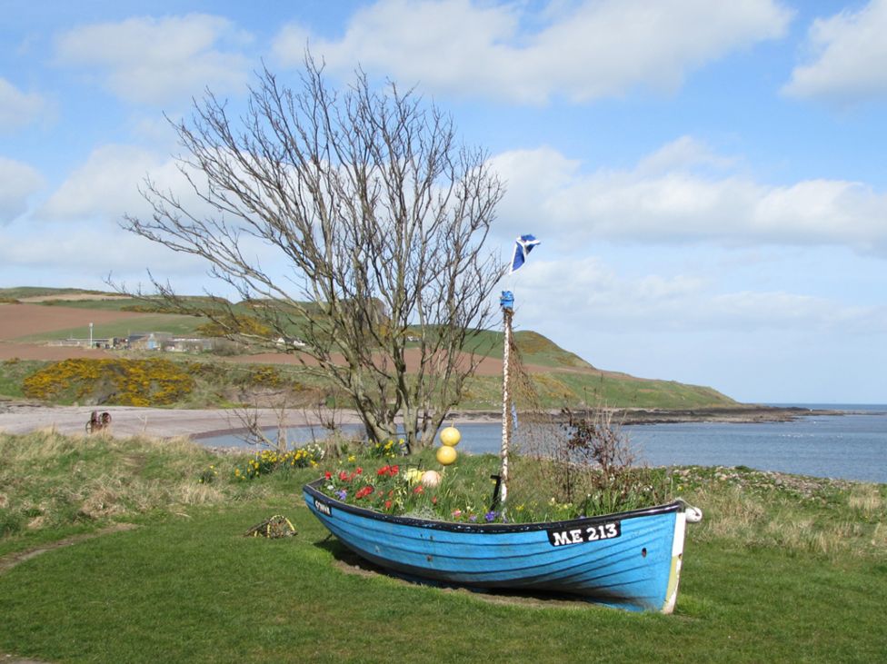 Your pictures of Scotland: 31 March - 7 April - BBC News
