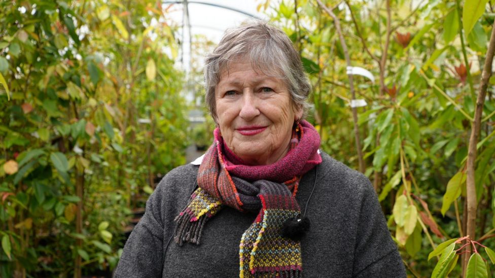 Chelsea Flower Show: Welsh team create most biodiverse garden yet - BBC ...