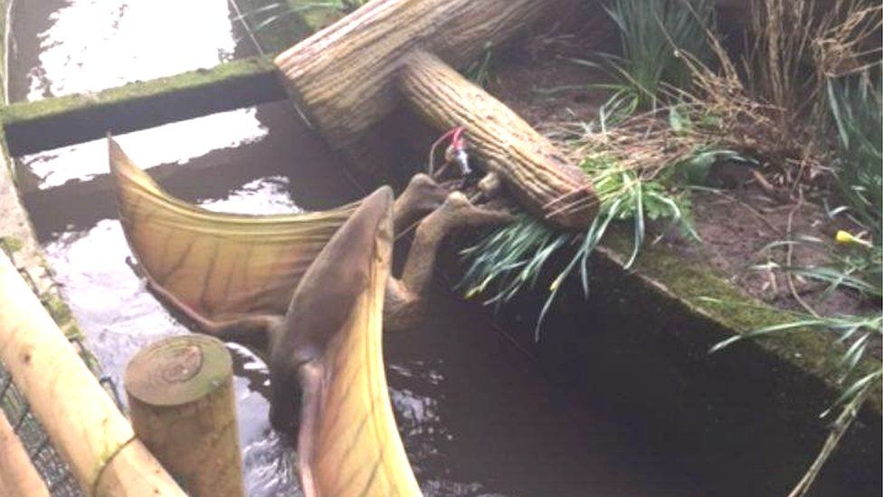 Storm Imogen winds close Channel Island roads and cause flooding - BBC News