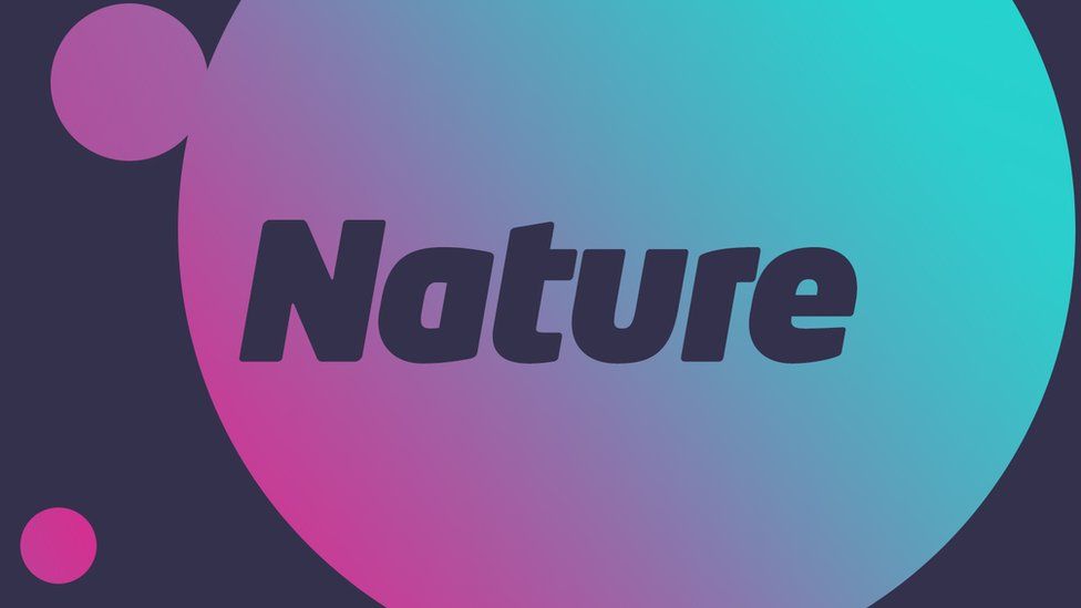 Newsround topics: The Natural World - BBC Newsround