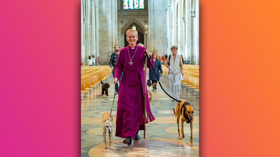 Animal service returns to Ely Cathedral after three years - BBC Newsround
