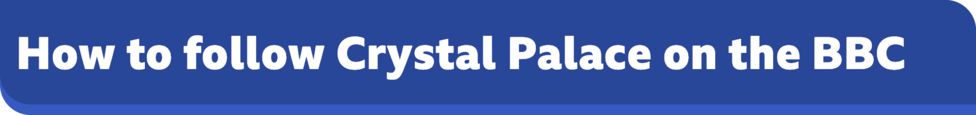 Crystal Palace co-owner John Textor Q&A: Parish, fan protests, Hodgson ...