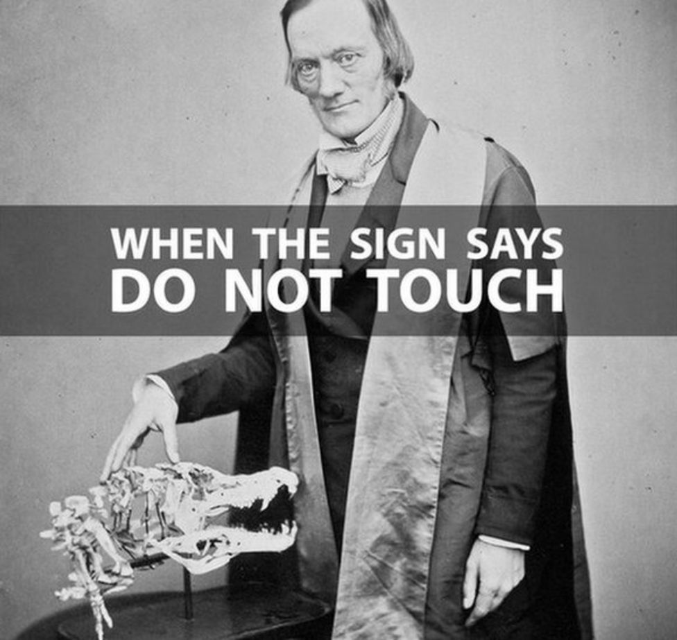 Museum Memes day is here - and the results are immense - BBC Newsround