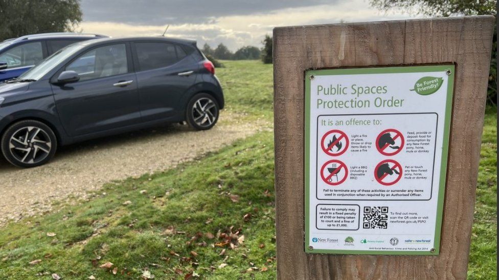 New Forest rules broken by 700 people but no fines issued - BBC News