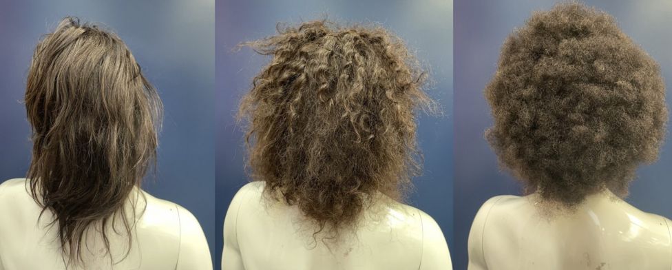 Curly hair kept early humans cool and made our brains bigger, study ...