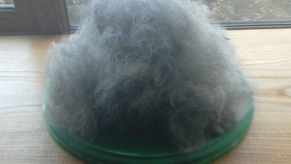 Turnip Prize 2020: Finalists for spoof art award unveiled - BBC News