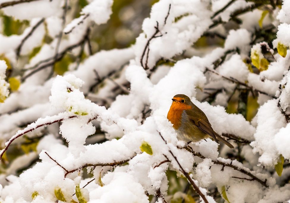 Your pictures of Scotland: 17-24 November - BBC News