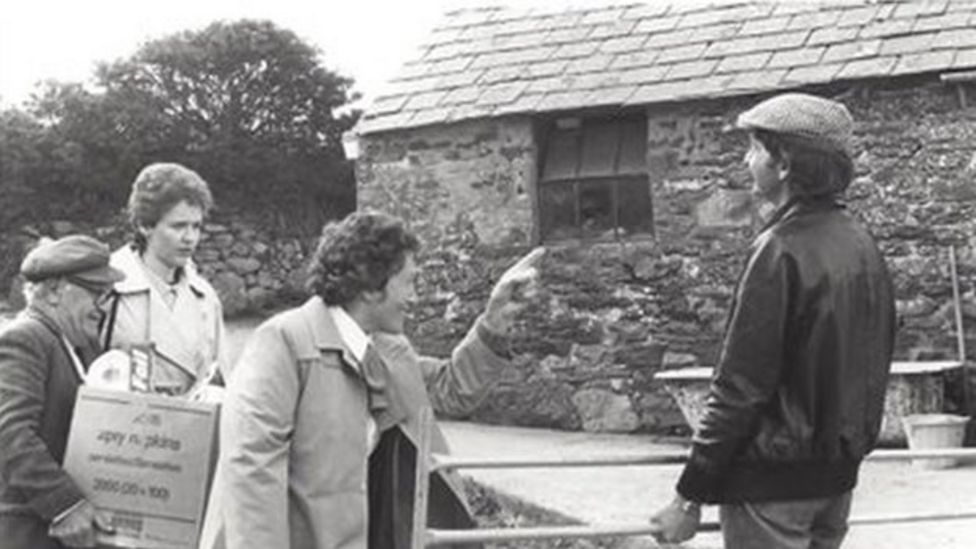 Nôl i Nyth Cacwn ar ôl dros 30 mlynedd - BBC Cymru Fyw