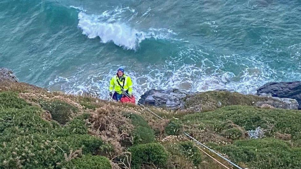 Dogs rescued from cliff fall at Watergate Bay, Cornwall - BBC News