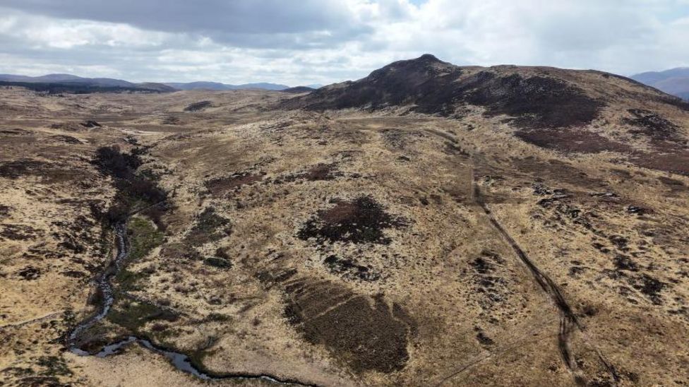 In pictures: Wildfire-hit Corrimony Nature Reserve a year on - BBC News