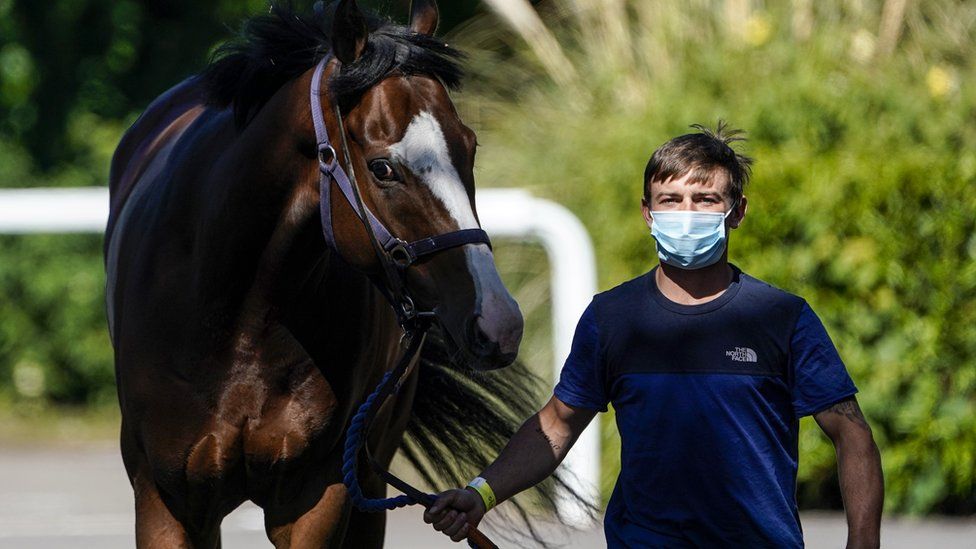 Carrutherstown racing stable 'very relieved' to return to action - BBC News