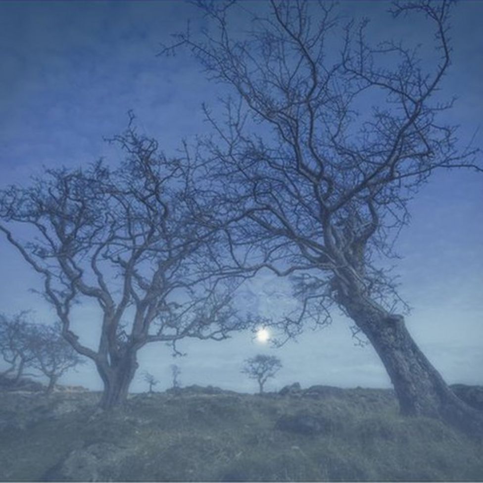 Lluniau: Cymru yn y gwanwyn // Wales in springtime - BBC Cymru Fyw