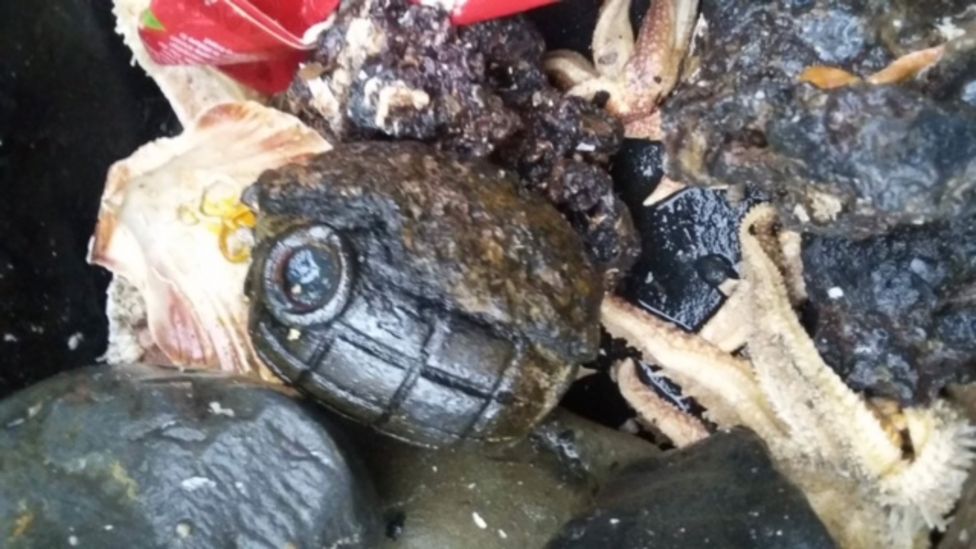 Stranraer fishing boat catches unexploded grenade in its nets - BBC News