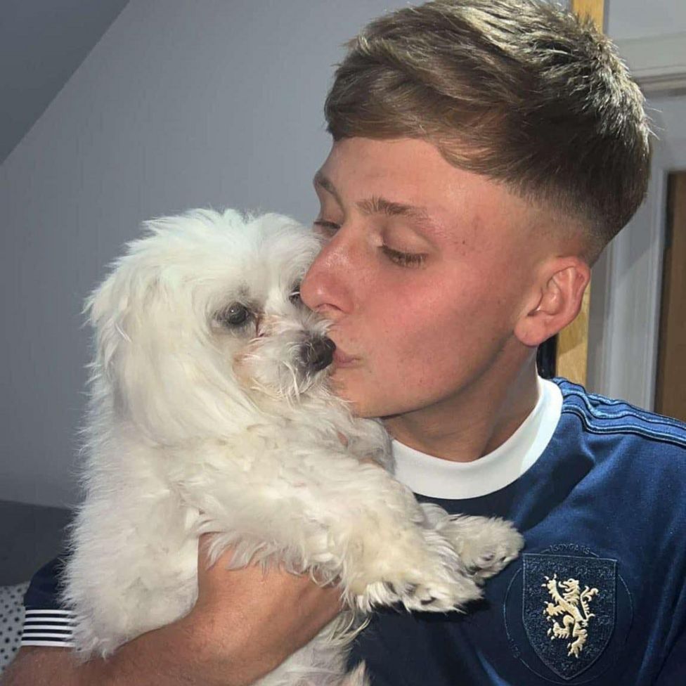 Mum's thanks for support as son recovers after Germany crash - BBC News