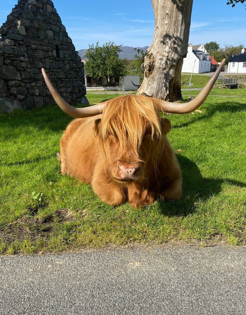 Your pictures of Scotland 7 - 14 August - BBC News