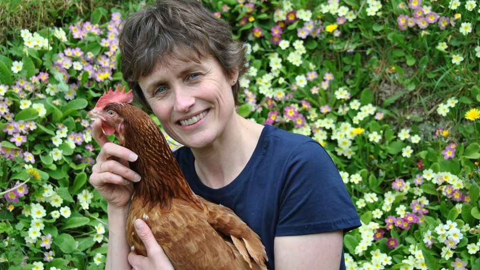 Devon battery hen rehome woman Jane Howorth gets MBE - BBC News