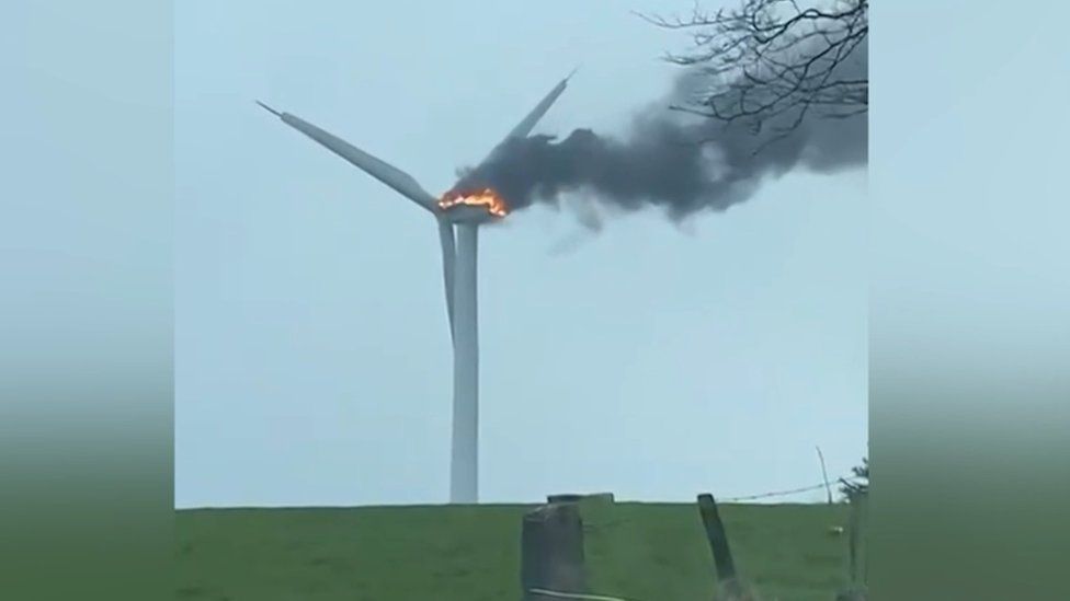 Yr Wythnos Mewn Lluniau: 29 Ionawr - 4 Chwefror - BBC Cymru Fyw