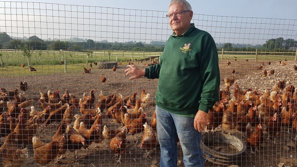 Highfields Happy Hens: Farm that helped troubled teens to close - BBC News